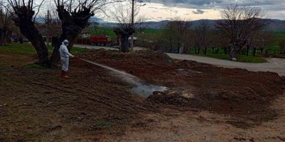 Elazığ’da larva ile mücadele sürüyor