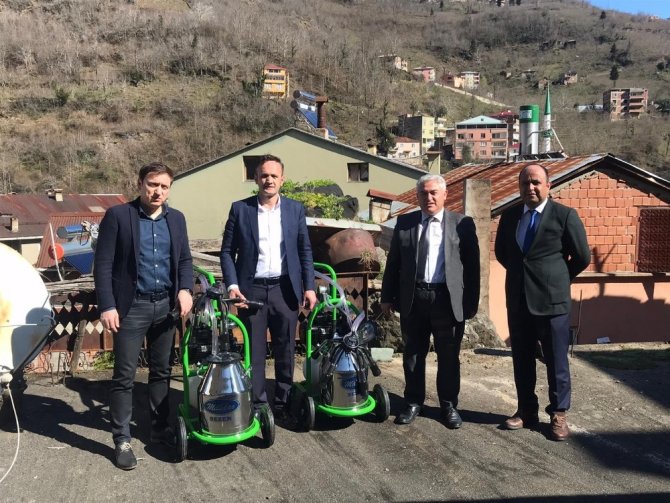 Giresun’da manda yetiştiriciliği ve manda sütü toplama projesi hızla ...