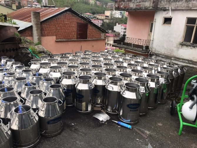 Giresun’da manda yetiştiriciliği ve manda sütü toplama projesi hızla ...