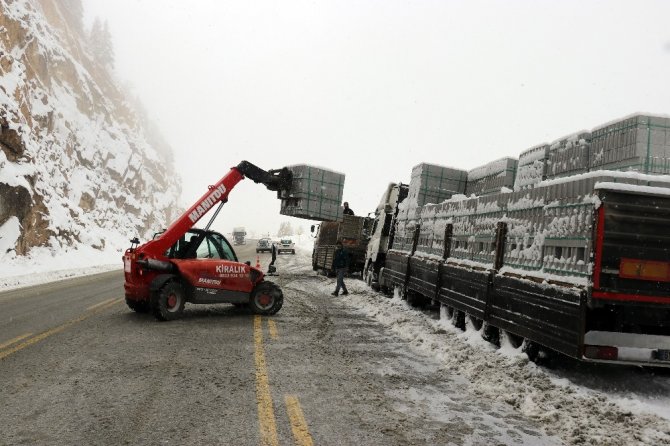 Zigana dağı beyaza büründü